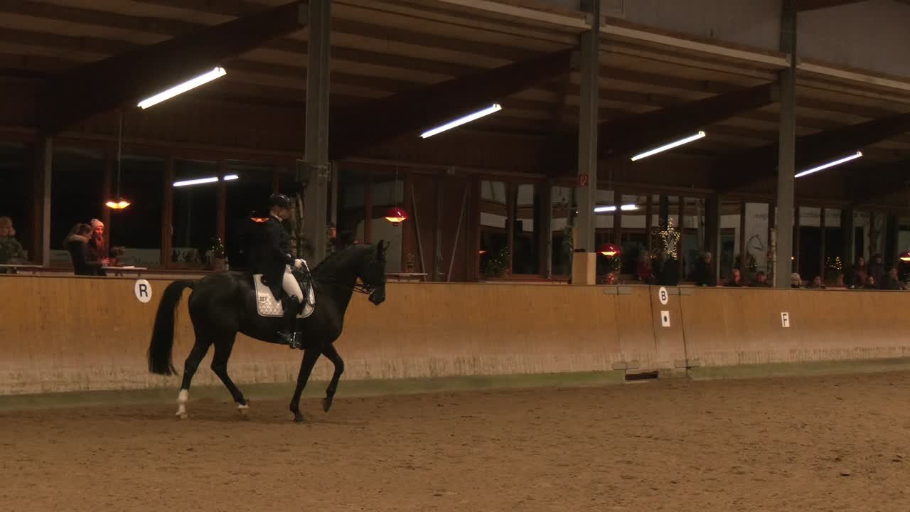 Vidéo de Amanyara M FRH - Reitturnier Appelhülsen 2024, Épreuve de ...