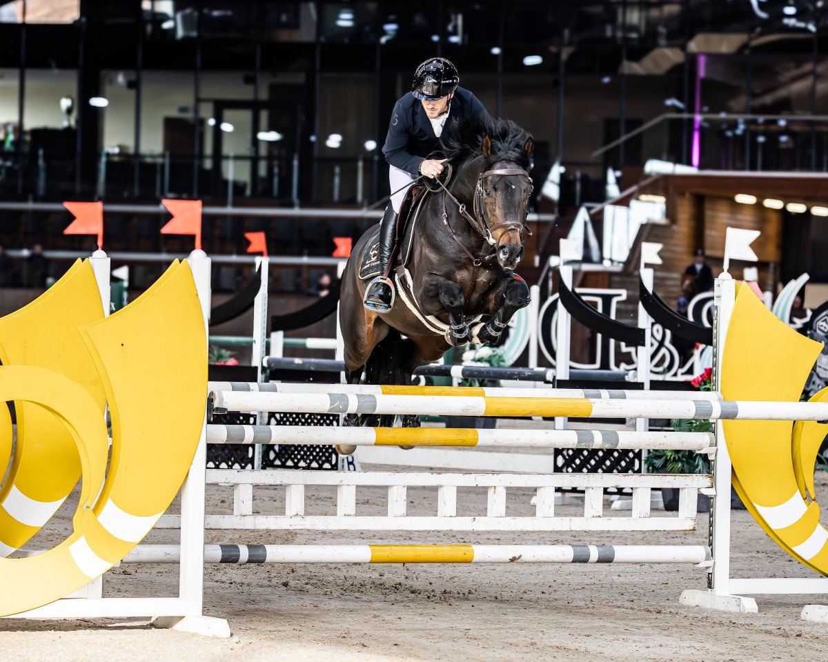 Cortello's Riddle PS: Cheval de saut, 12 vidéos exclusives, Pedigree ...