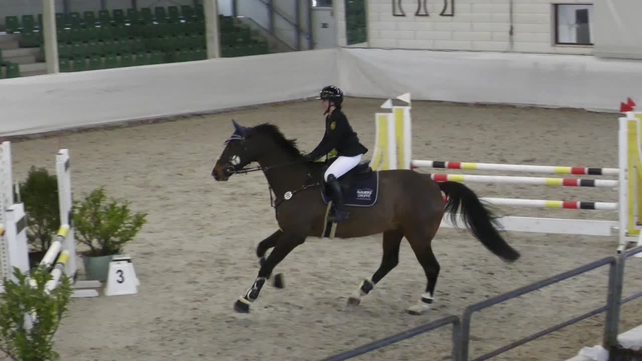 Vidéo de Dior E - Reitturnier Zweibrücken - Halle 2025, Épreuve de saut ...