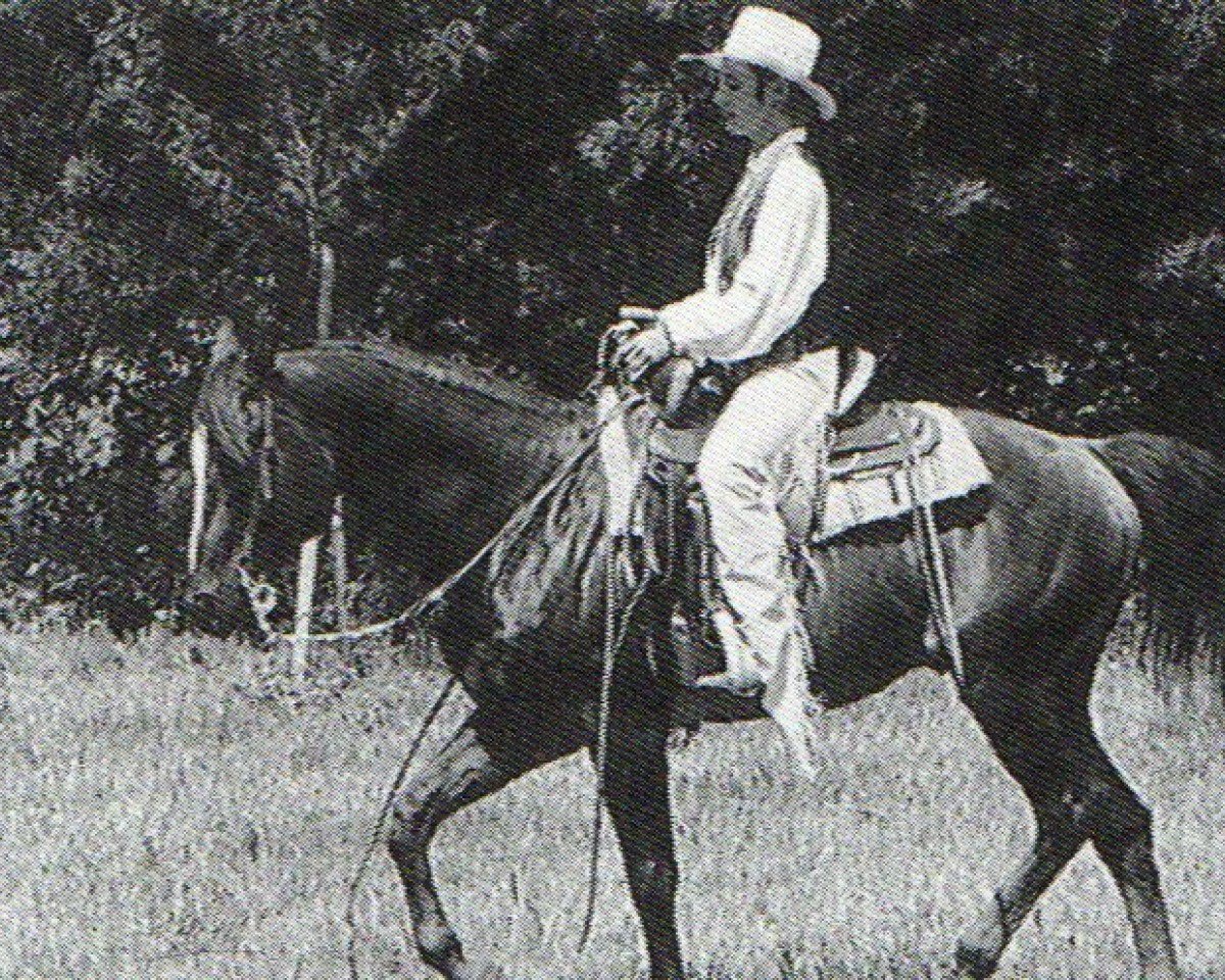 Docs Puddin: Cheval, Pedigree