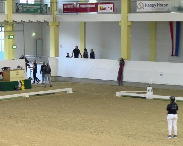 Vidéo de Unlimited 14 - Reitturnier Bülach 2025, B70 (10.09.2025)