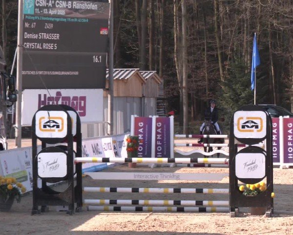 Video von Crystal Rose S - Reitturnier Ranshofen - Braunau am Inn 2025 ...