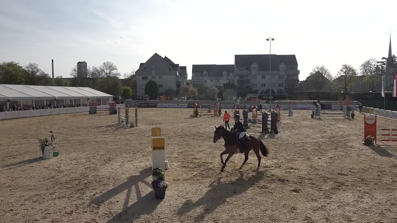Video van Hc Forrest Jump CH - Reitturnier Amriswil 2025, Z100 (16-04-2025)