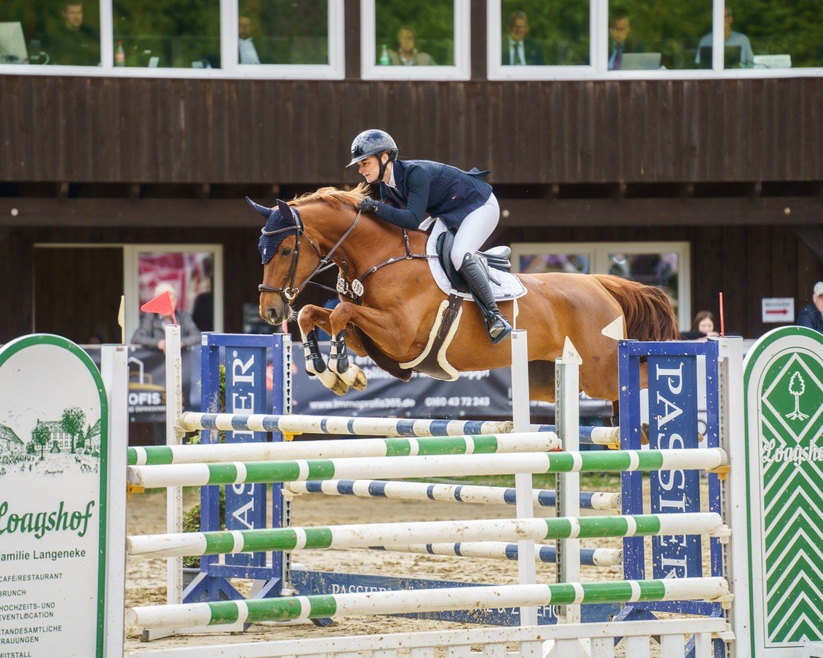 Ylvi Fischer all results, horses and achievements