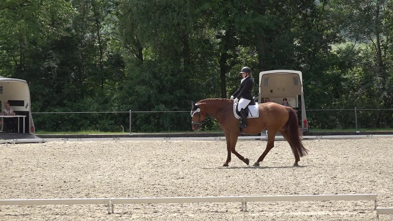 Video von Midnight Shadow CH - Reitturnier Maienfeld 2025, GA 07/40 ...
