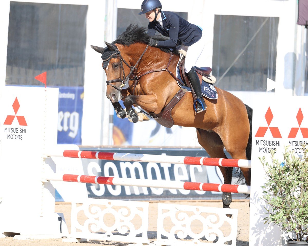 Damina du Puy: Jument de race, Pedigree