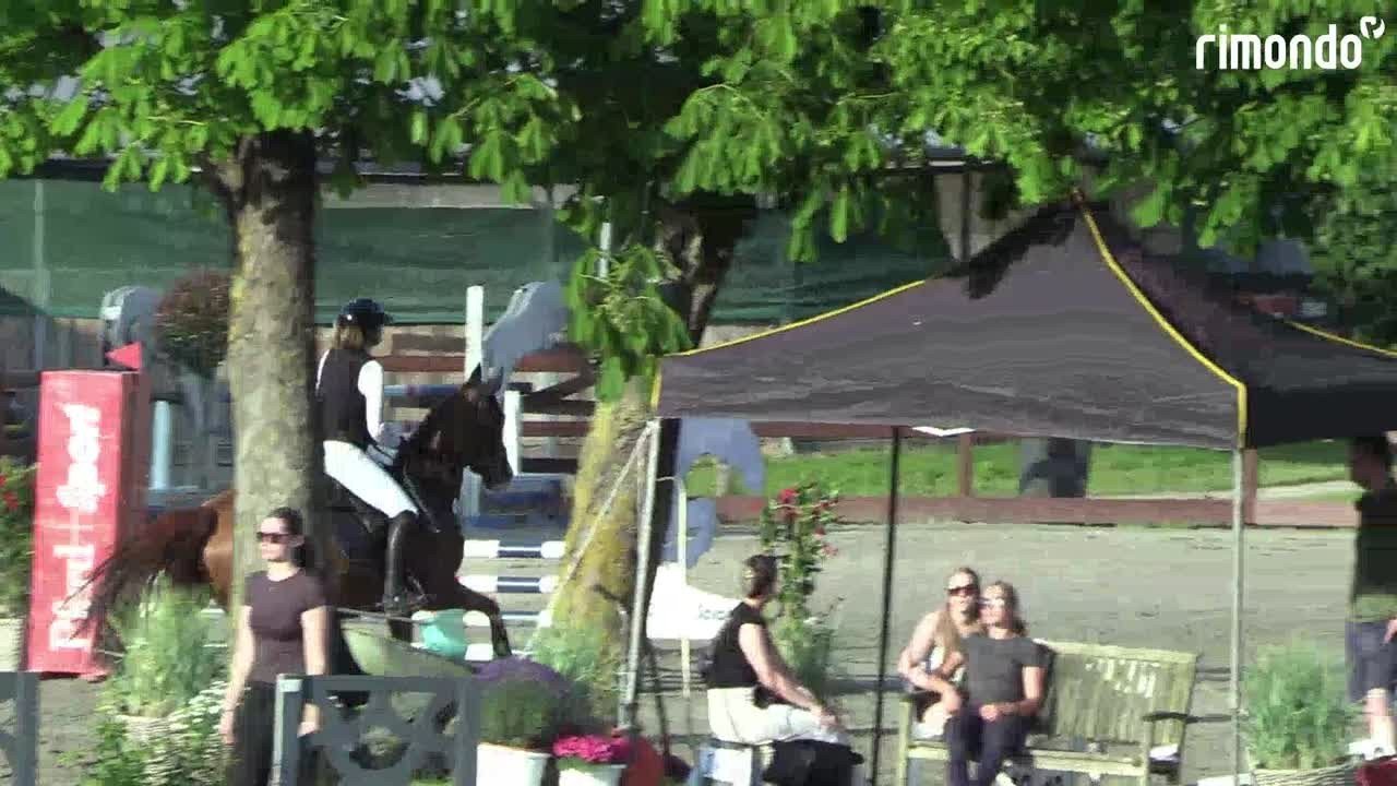 Vidéo de It's a kind of Magic - Reitturnier Breitenburg 2025, Épreuve ...