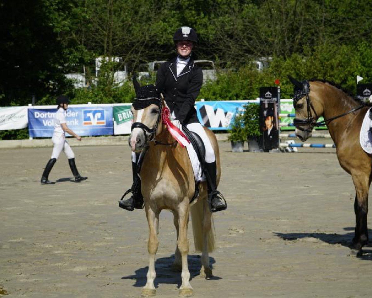 Karla 85: Cheval de Dressage, 3 vidéos exclusives, Pedigree, Résultats