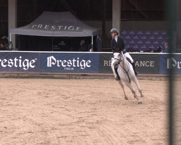 Video von Funky Malone - Reitturnier Ranshofen - Braunau am Inn 2025 ...