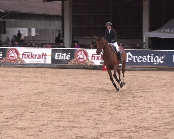 Vidéo de Darius K 2 - Reitturnier Ranshofen - Braunau am Inn 2025 ...