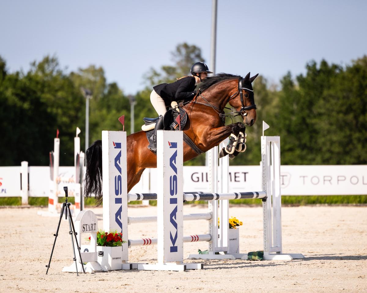 Berndt Range Stud: Étalon, Pedigree