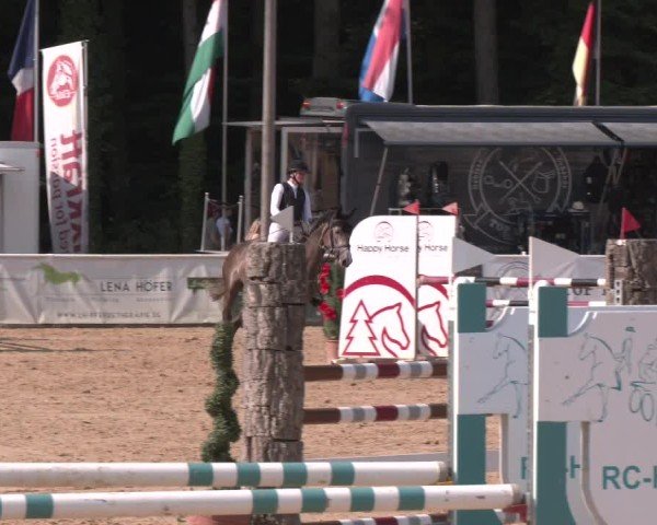 Video von Crystal Rose S - Reitturnier Ranshofen - Braunau am Inn 2025 ...