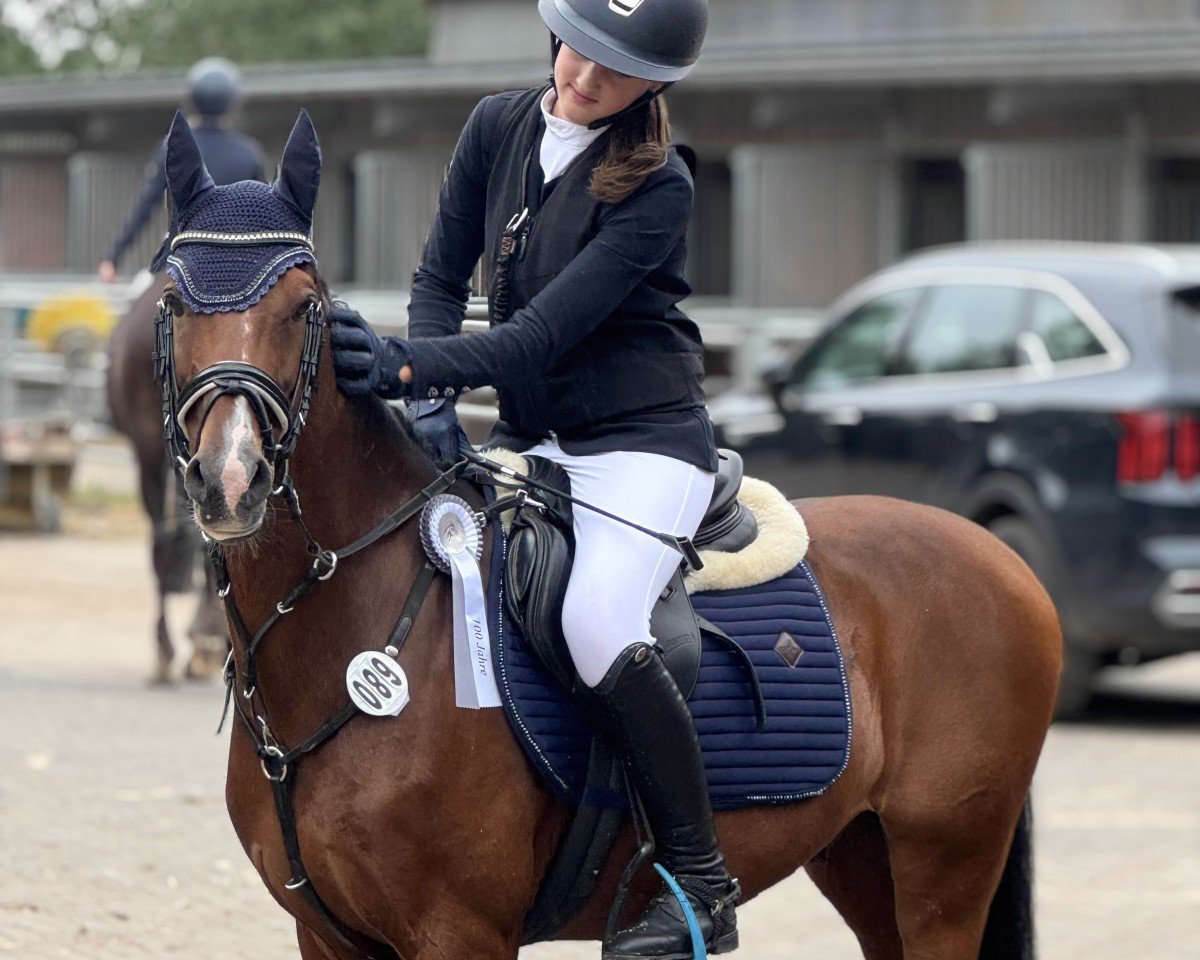 Vicki's Flossy: Jument de race, Pedigree