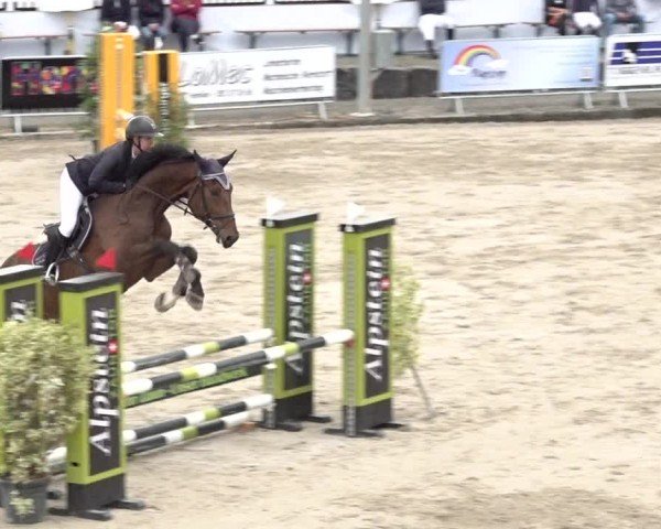 Vidéo de Chackato Boy - Reitturnier Humlikon 2025, Épreuve de saut d ...