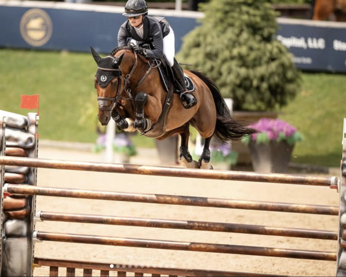 Midnight Spiros: Cheval de saut, Pedigree, Résultats