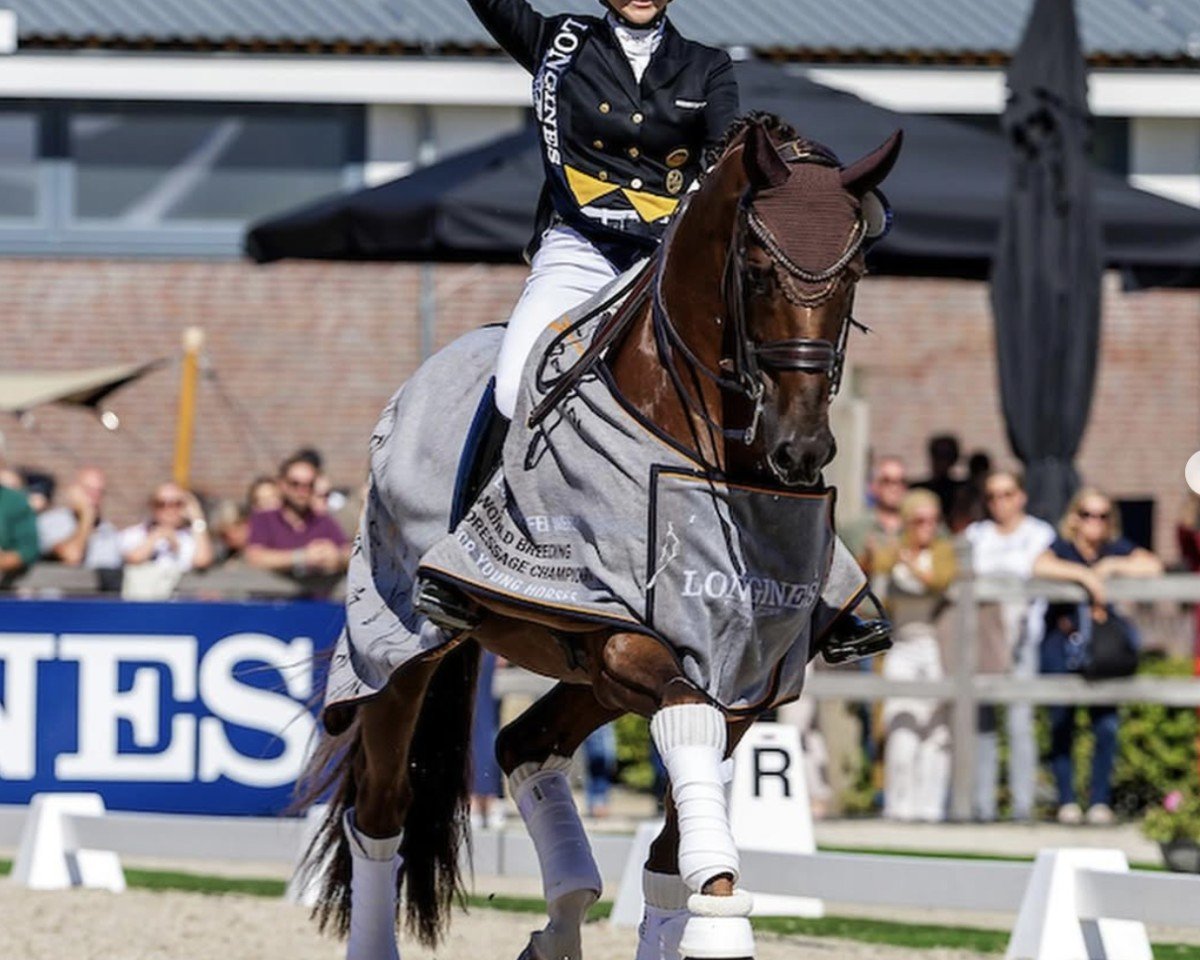 FEI Reitturnier Kuala Lumpur (MAS) 2023 (29/07/2023 - 30/07/2023 ...