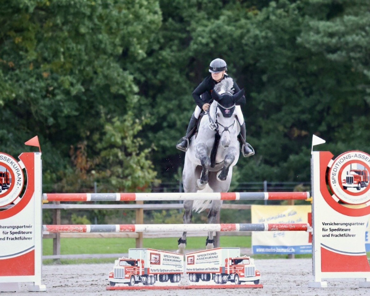 Malisha Bint Galal EAO: Jument de race, Pedigree