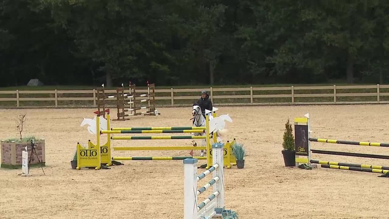 Video von Darcosall de Revel - Reitturnier Tiefenhof/Opf. 2025 ...