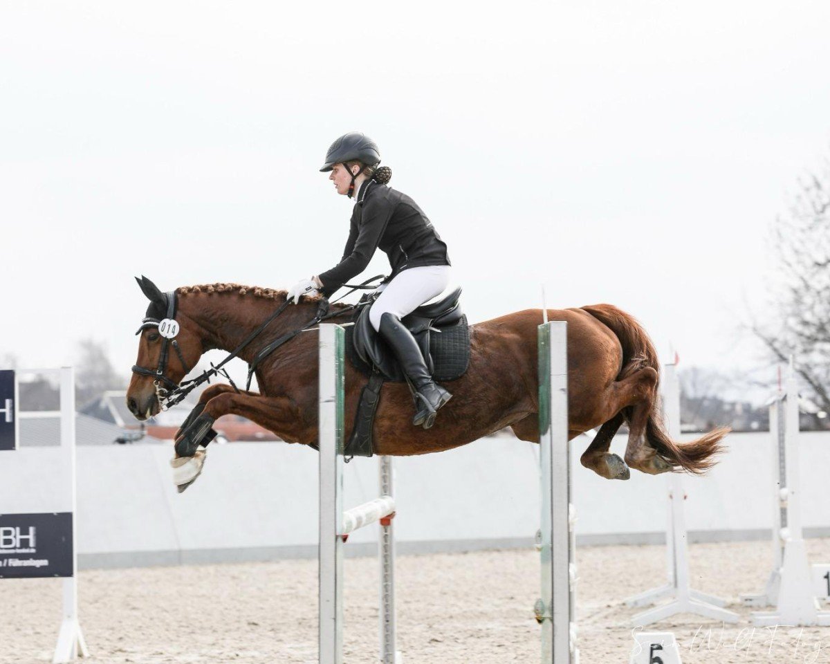FEI Reitturnier Kronenberg (NED) 2019 (17/01/2019 - 20/01/2019 ...