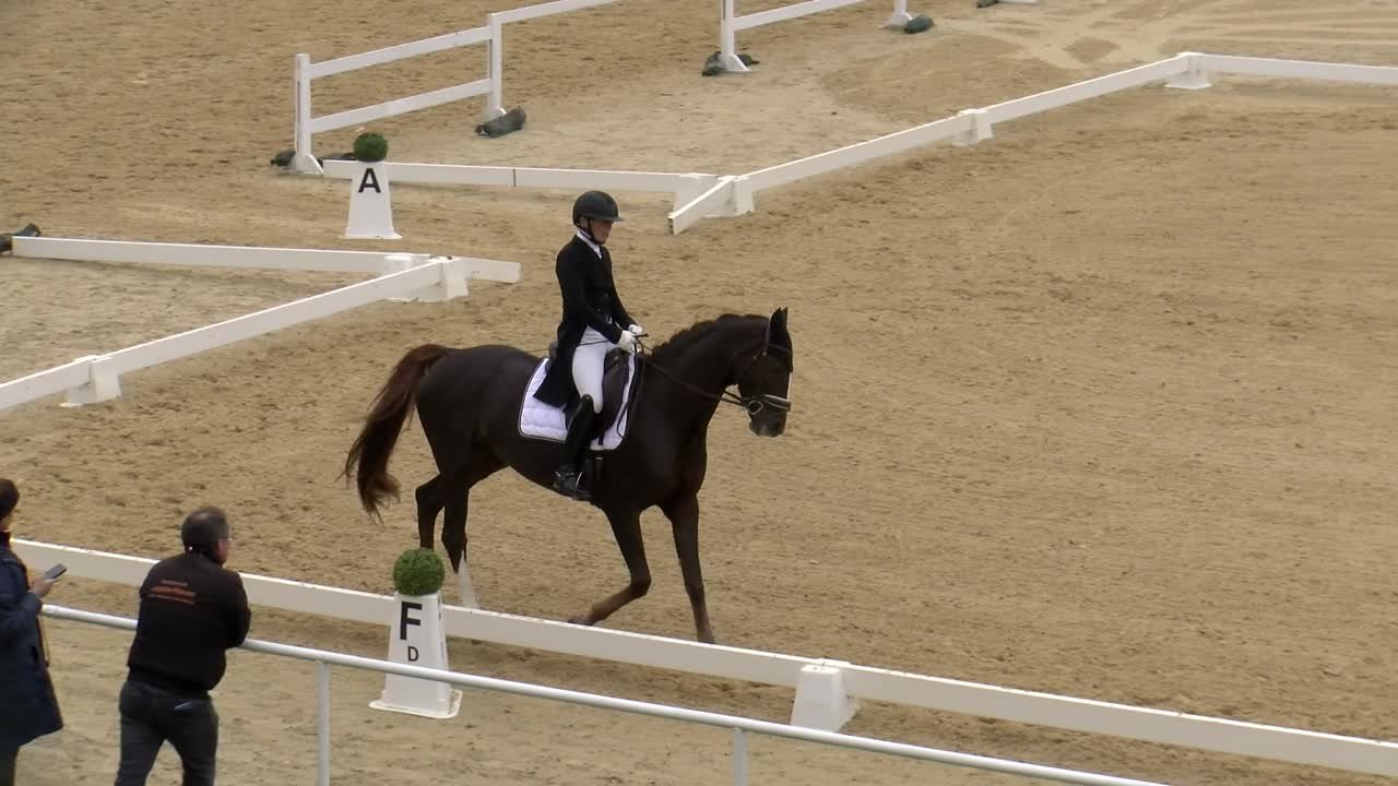 Video von Samantha Fox 4 - Reitturnier Stadl-Paura 2025, FEI Prix St ...