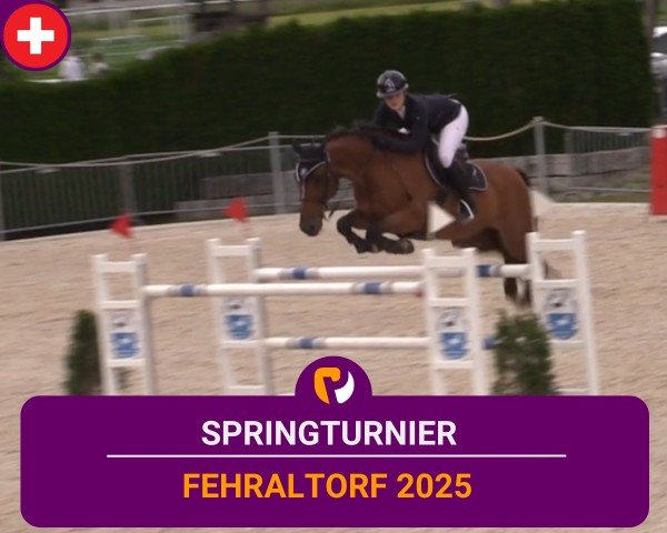 CDI-W FEI Grand Prix de Dressage, Prüfung 23 (06.06.2025) - FEI ...