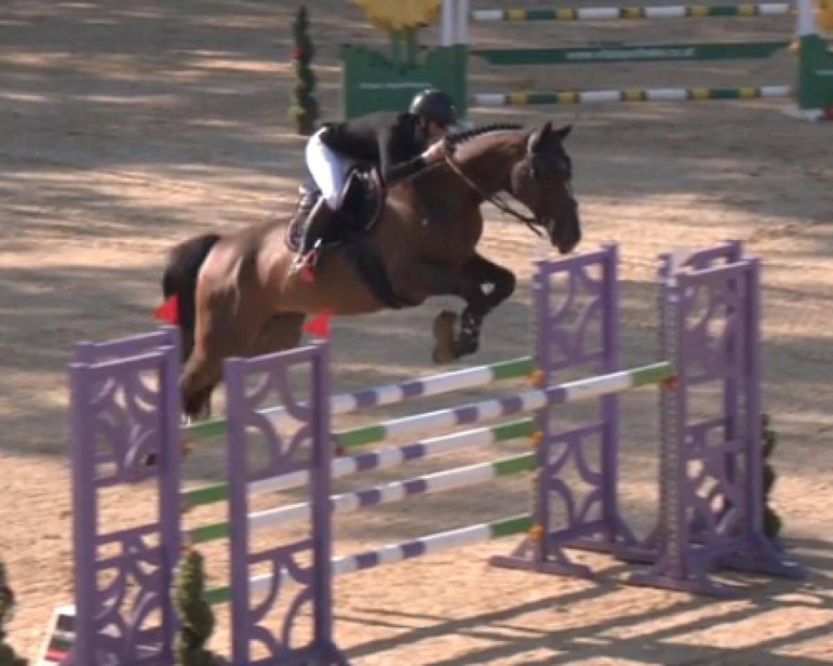 Moonlight Camp xx: Cheval, Pedigree