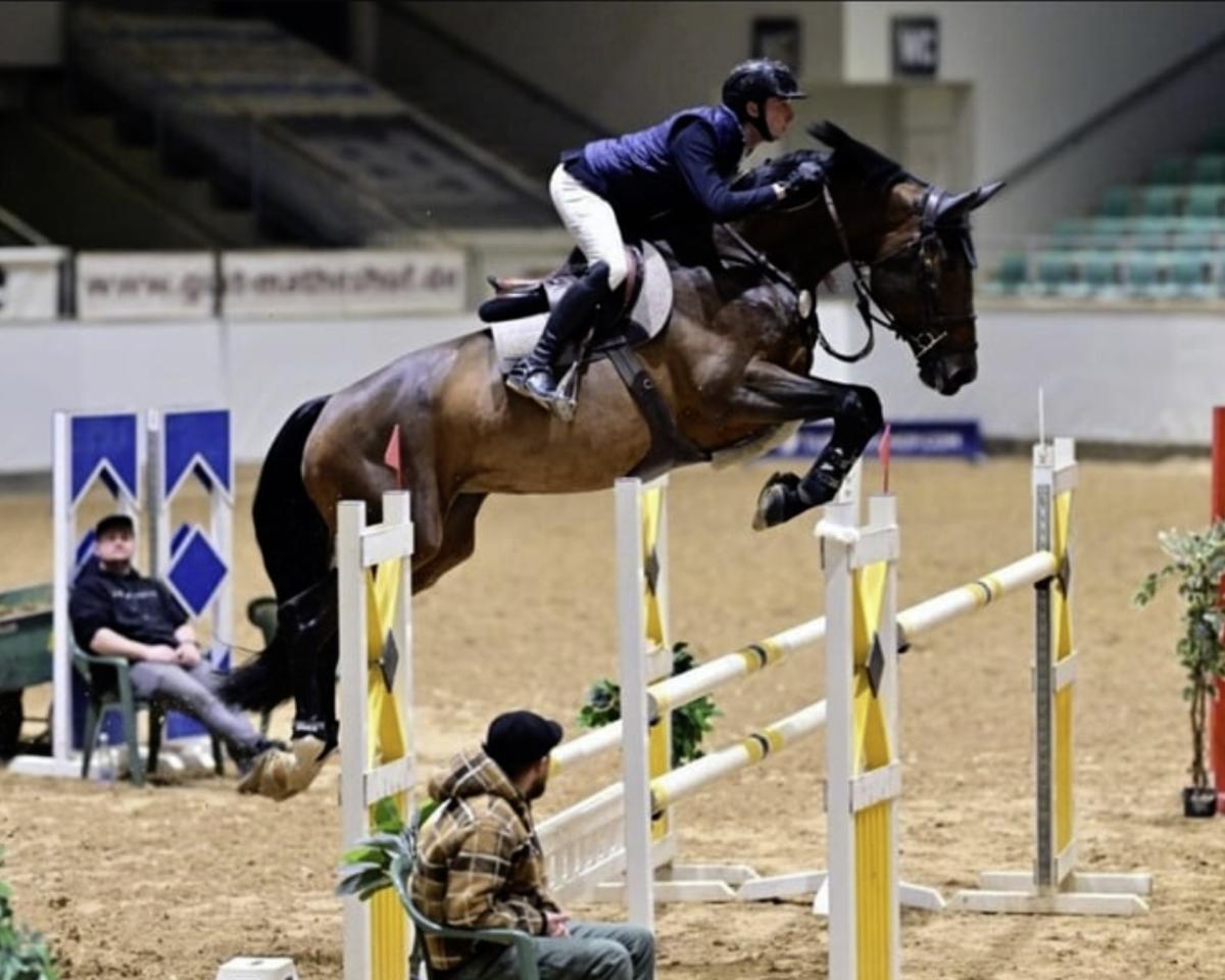 Jennifer Löhle all results, horses and achievements