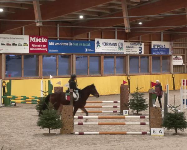 Maleah Möbius alle Ergebnisse, Pferde und Erfolge