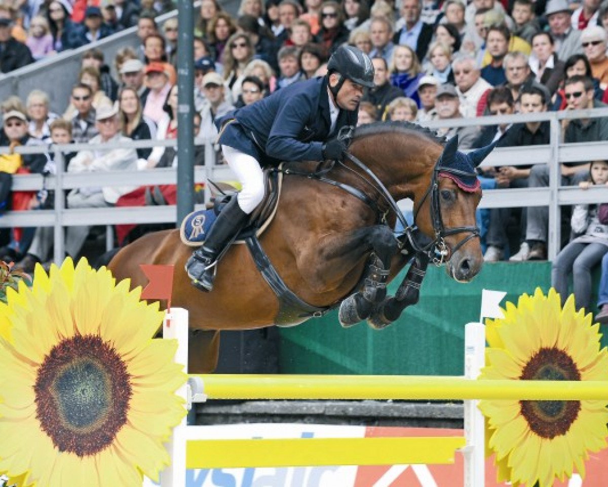 Mathias Schoenfelder alle Ergebnisse, Pferde und Erfolge