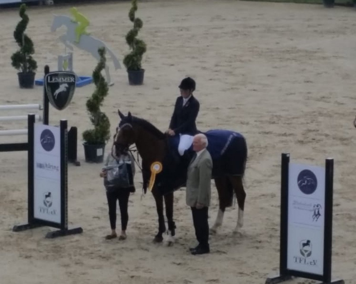 Tom Dooley: Cheval de saut, 34 vidéos exclusives, Pedigree, Résultats