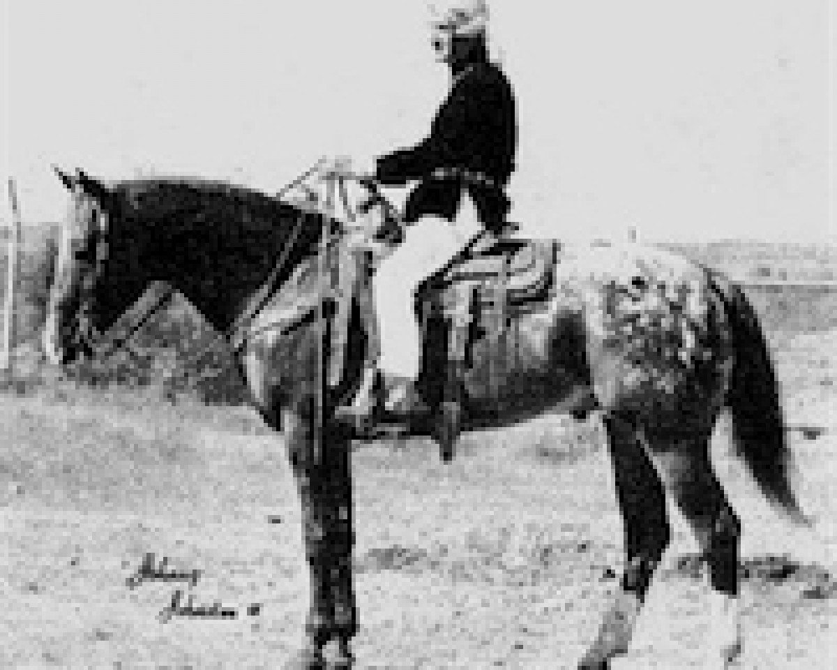 Rustler Zip TW: Étalon, Pedigree