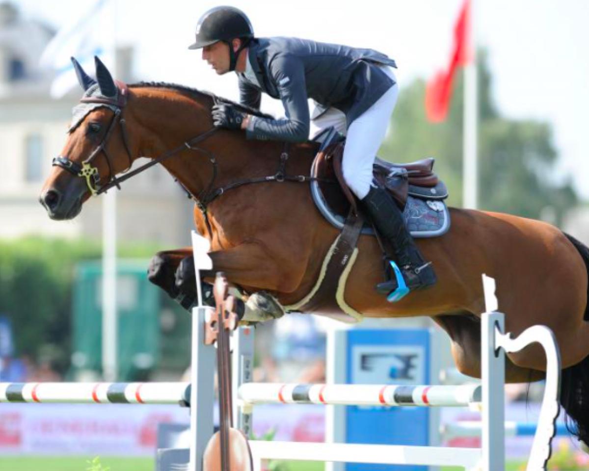 Hengst von Conthargos / For Joy van't Zorgvliet HDC: Horse, Pedigree