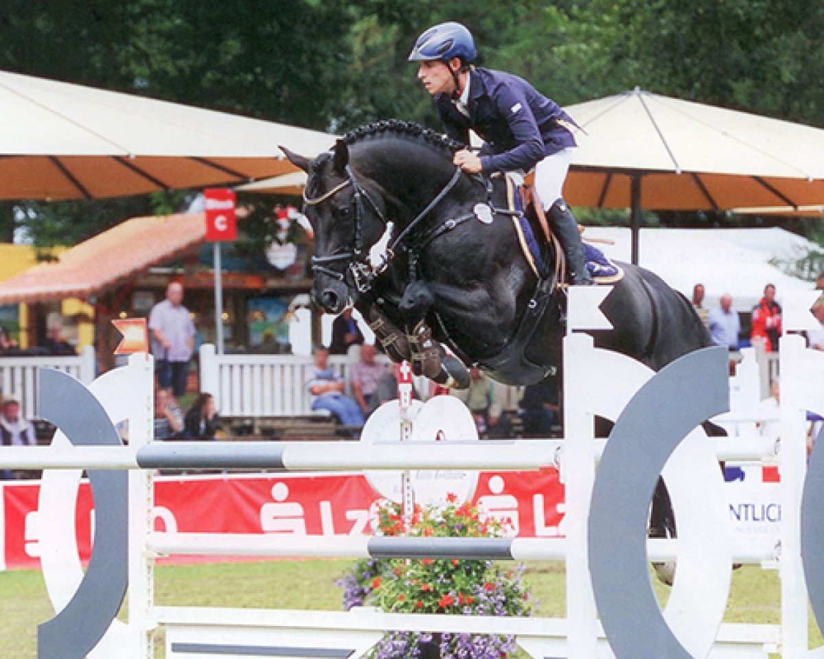 Marie-Christin Hörbinger 4 Videos, all results, horses and achievements