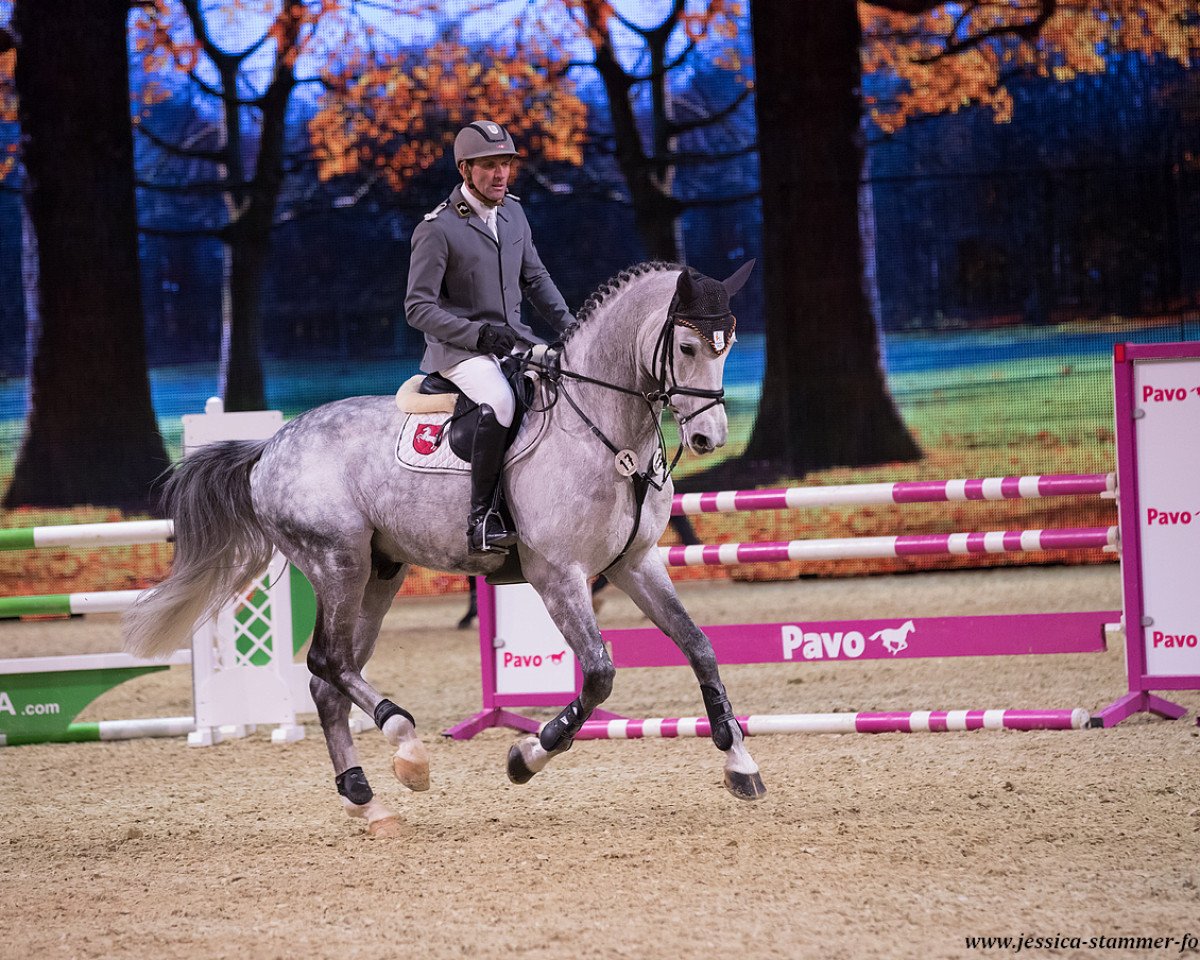 Libero 118: Caballo de Doma, Pedigrí, Resultados