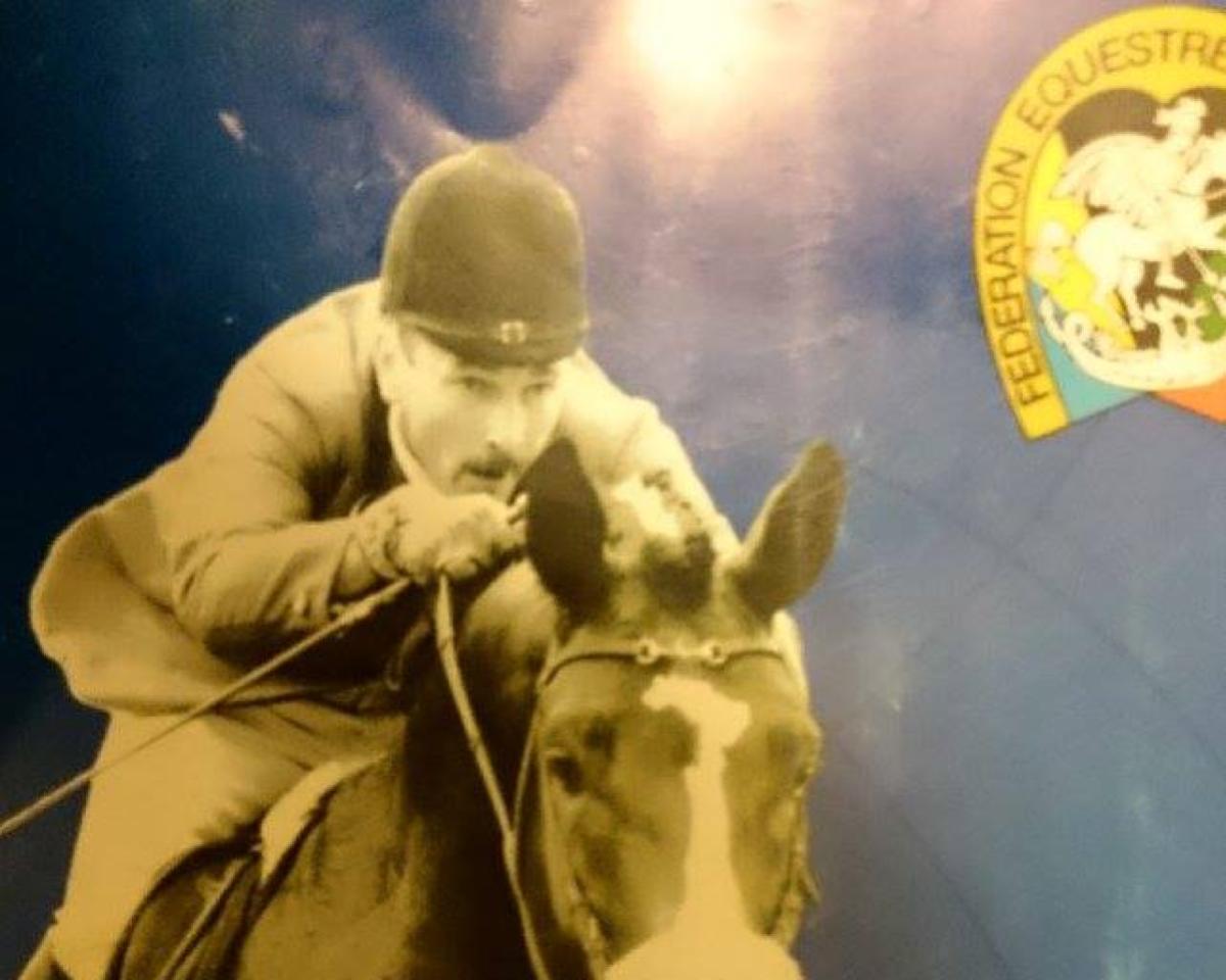 Moskits: Caballo, Pedigrí