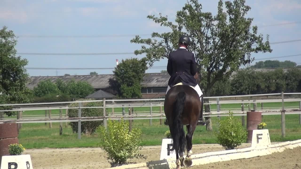 Vidéo de Fürst Valentin - Reitturnier Kaarst-Holzbüttgen ...
