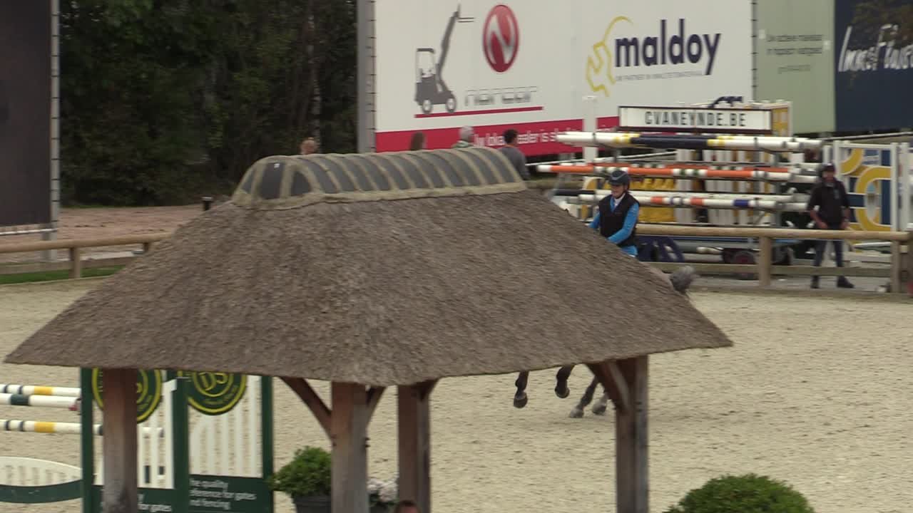 Vidéo de Pialotta Horta - Belgisch Kampioenschap 4-5 Jarigen Paarden ...
