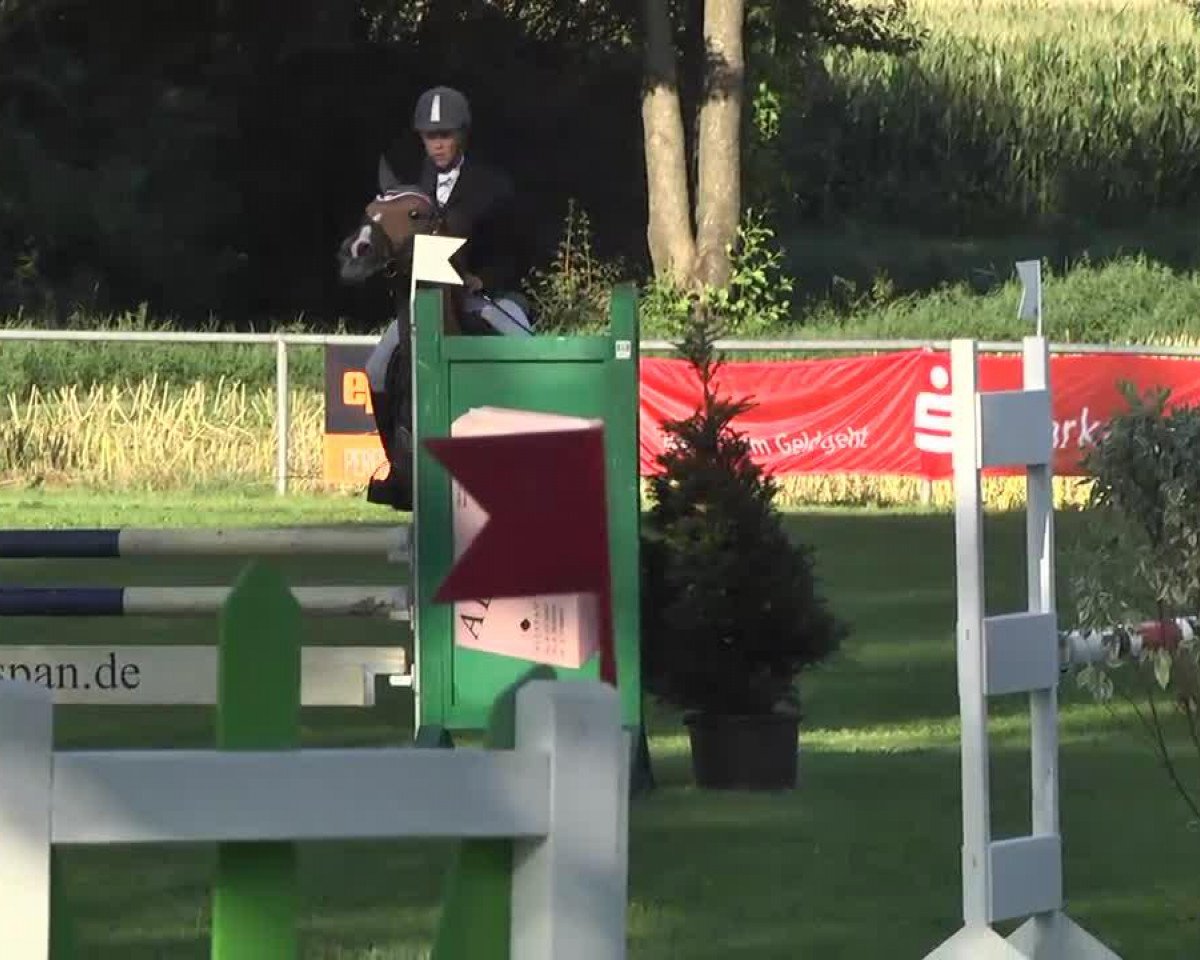 Baleri: Cheval de saut, 11 vidéos exclusives, Pedigree, Résultats