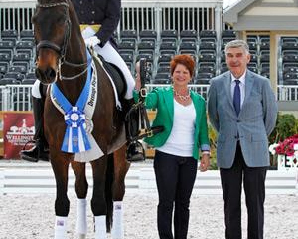 Wizard 50: Dressage horse, 2 exclusive videos, Pedigree, Results
