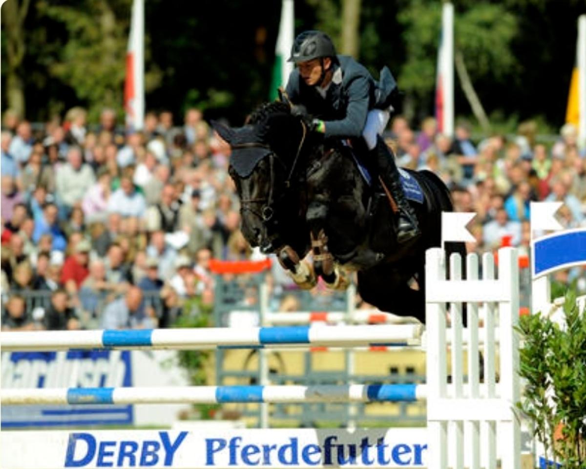 Sarah Rath all results, horses and achievements