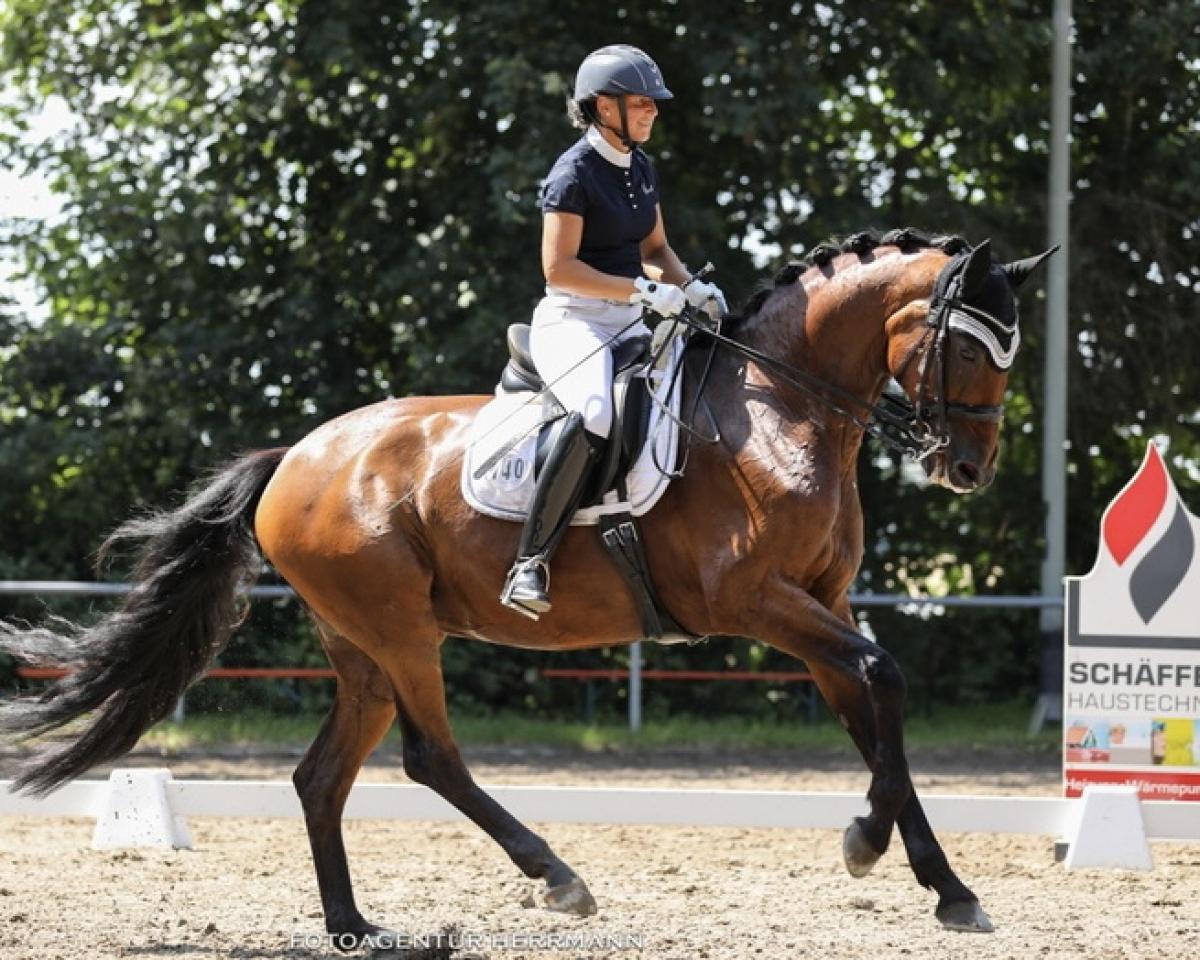 Kiss me Kate 14: Jument de race, Pedigree, Résultats