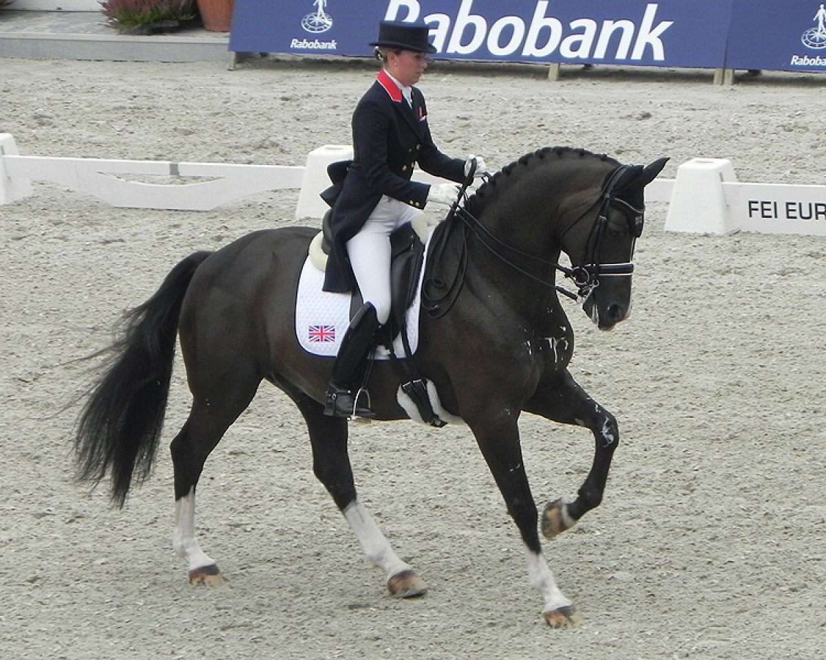 Lythe xx: Jument de race, Pedigree