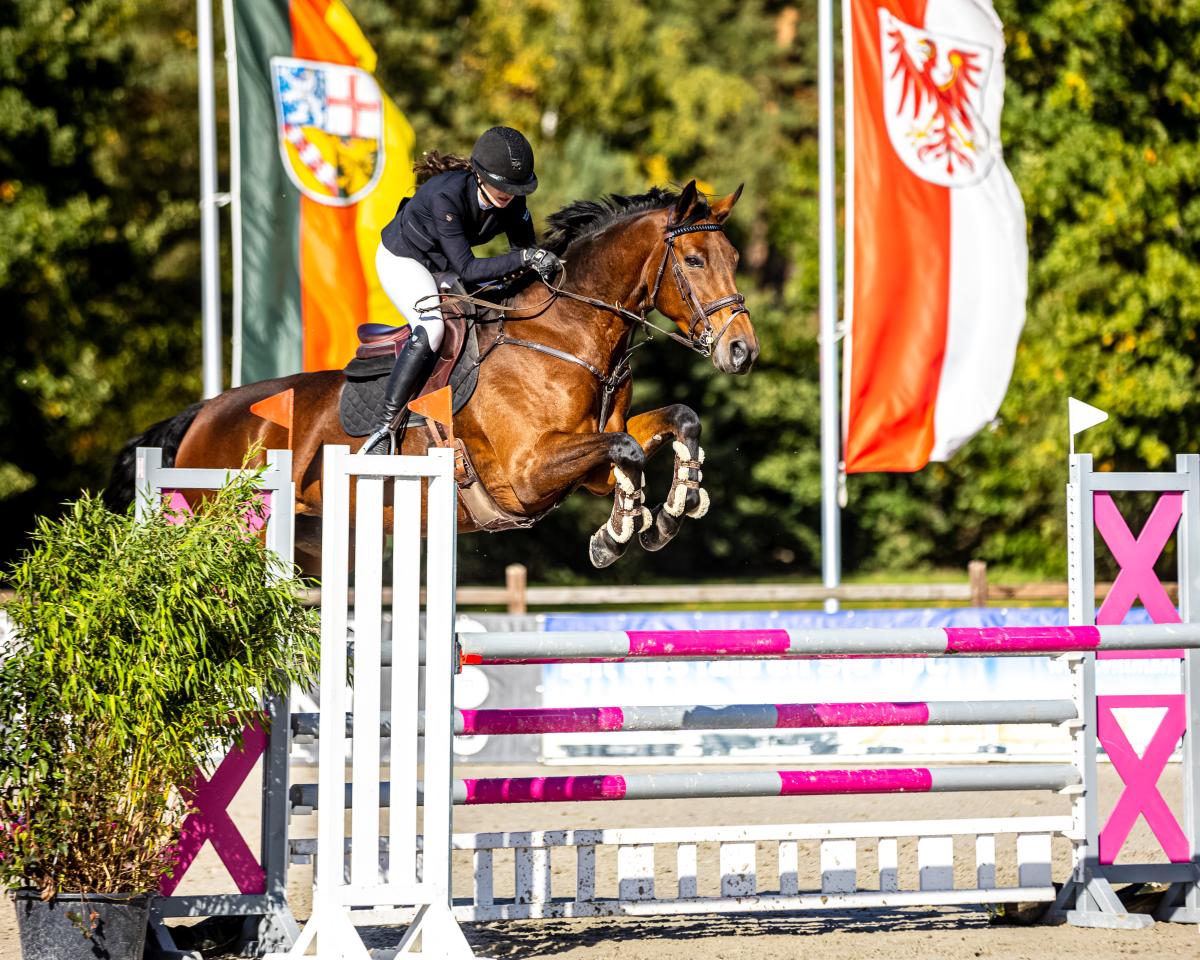 Cold Play 7: Cheval de saut, 32 vidéos exclusives, Pedigree, Résultats