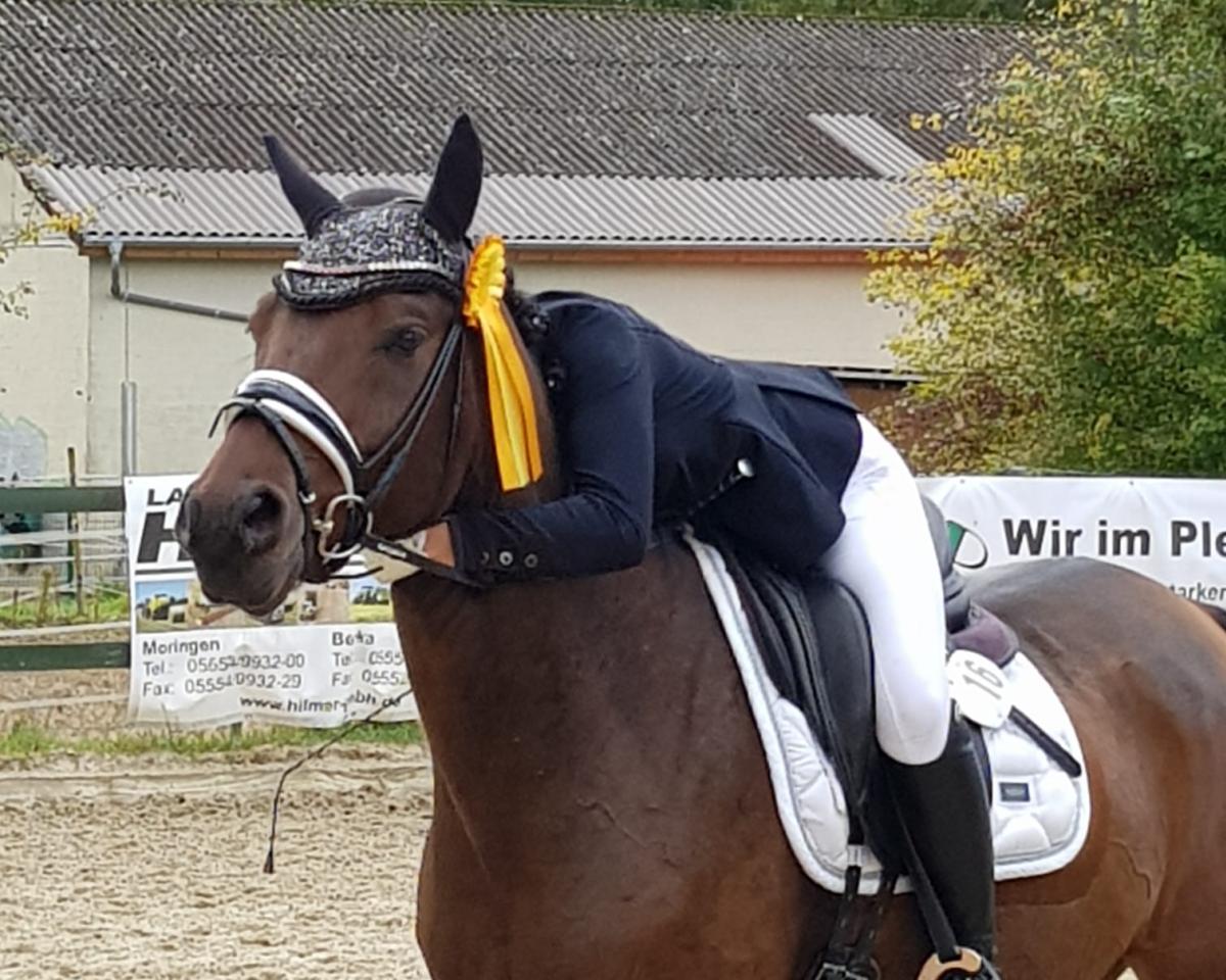 Lydia: Cheval de Dressage, Pedigree, Résultats