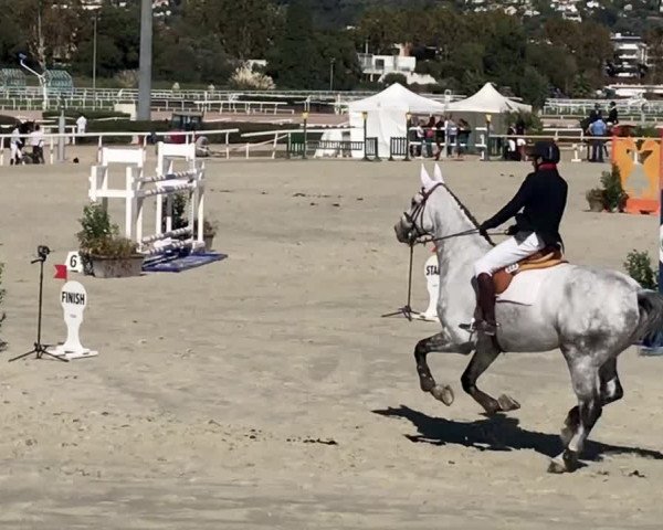 Clara Stange 2 Videos, alle Ergebnisse, Pferde und Erfolge