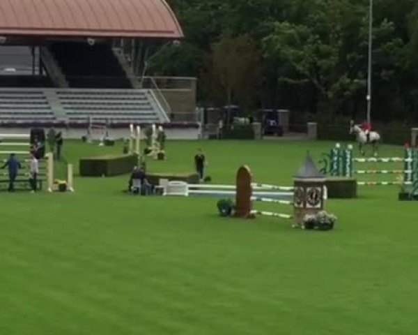 Video von Django Unchained - Reitturnier Dielsdorf 2025, St. Georg (29. ...