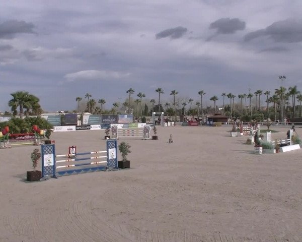 Elke Trümner alle Ergebnisse, Pferde und Erfolge