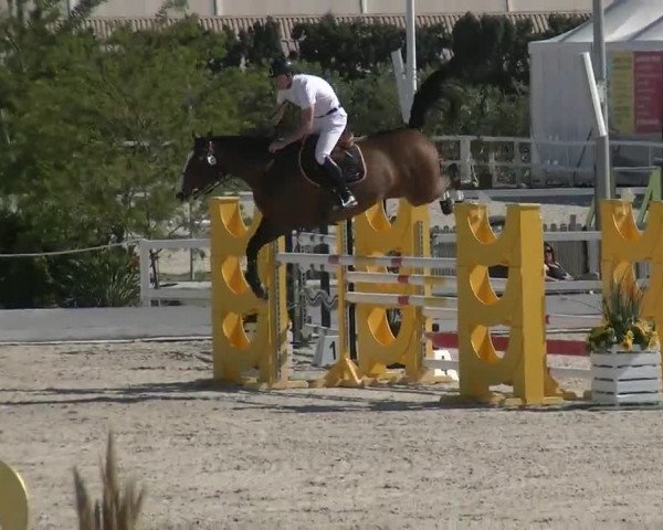 Clara Stange 2 Videos, alle Ergebnisse, Pferde und Erfolge