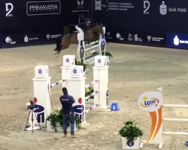 Mathias Schoenfelder alle Ergebnisse, Pferde und Erfolge