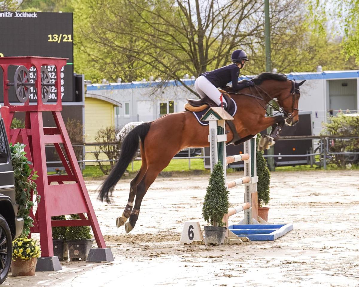 Springprüfung Kl. A** 100 cm, Prüfung 12 (30.11.2025) - Reitturnier ...